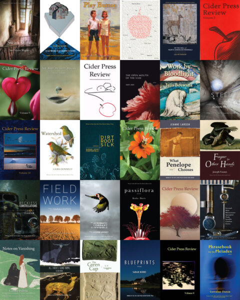Finalists and Semifinalists for the 2025 CPR Editors’ Prize Book Award ...